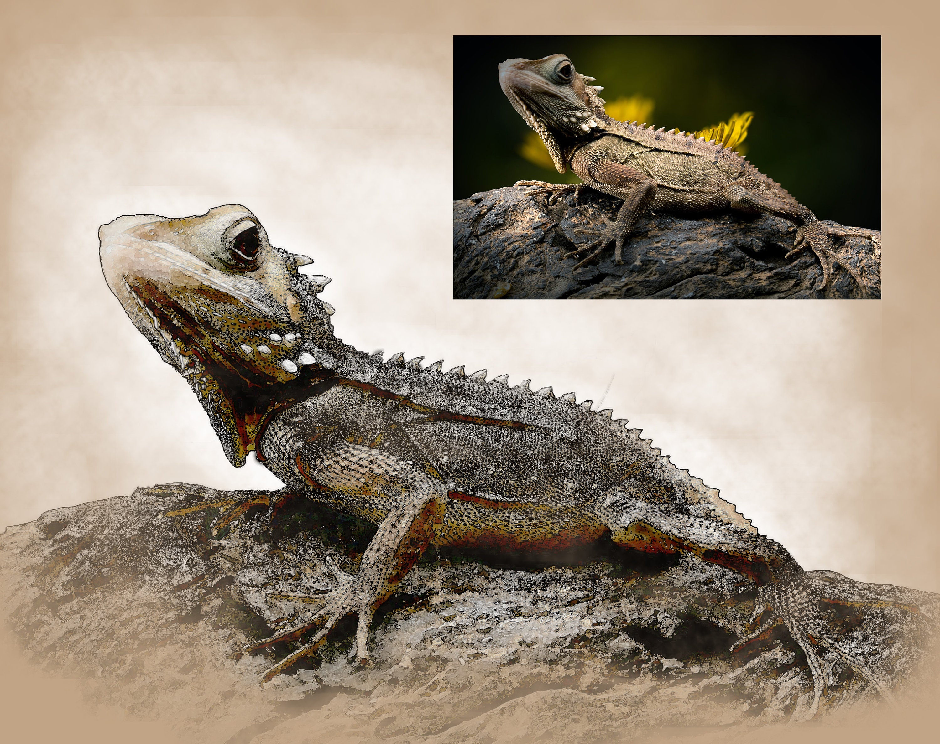 Custom Reptile Decor Turtle Prints Gecko Poster Reptile | Etsy