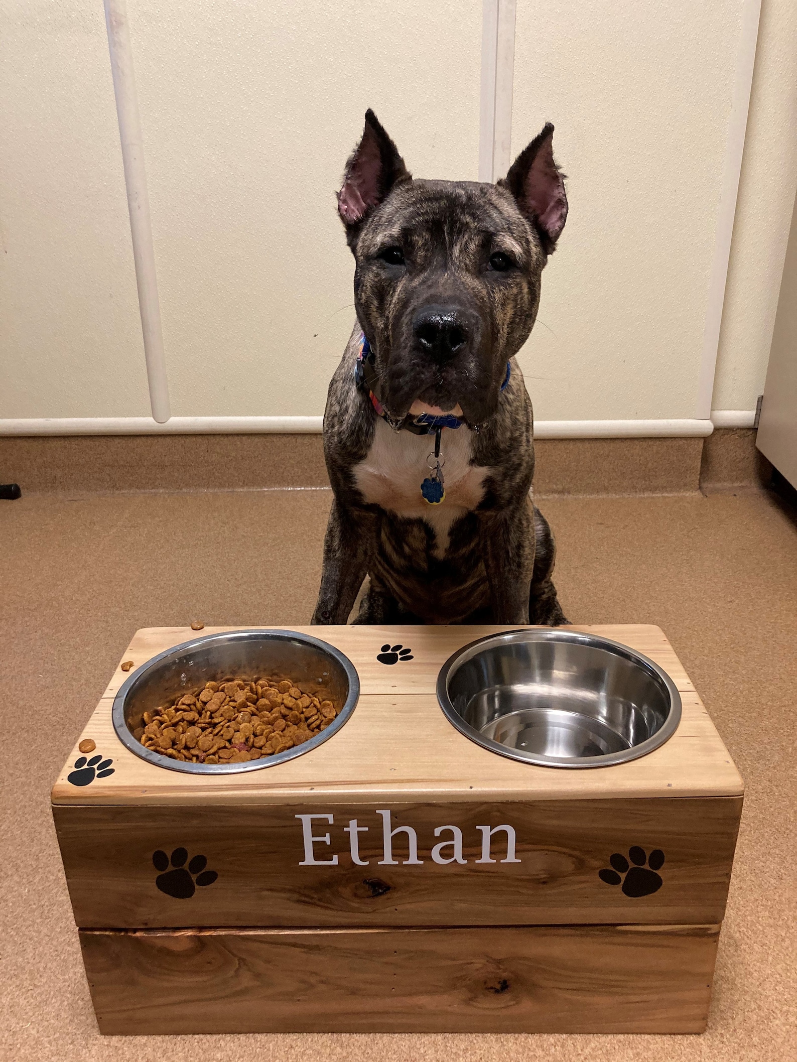 Elevated Dog Bowl Stand Dog Food Stand Dog Bowl Stand - Etsy