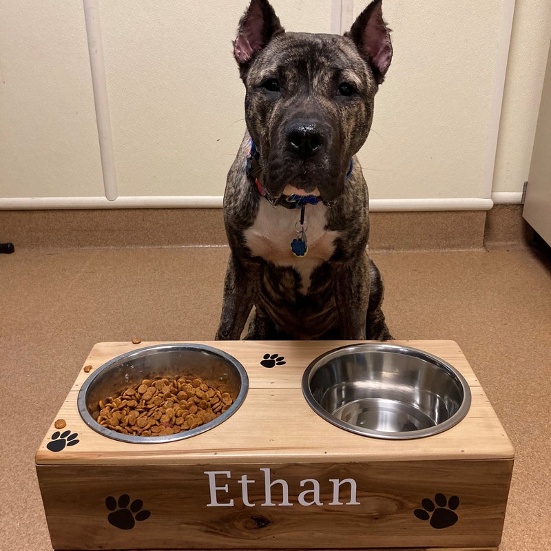Dog Bowl Stand - Etsy