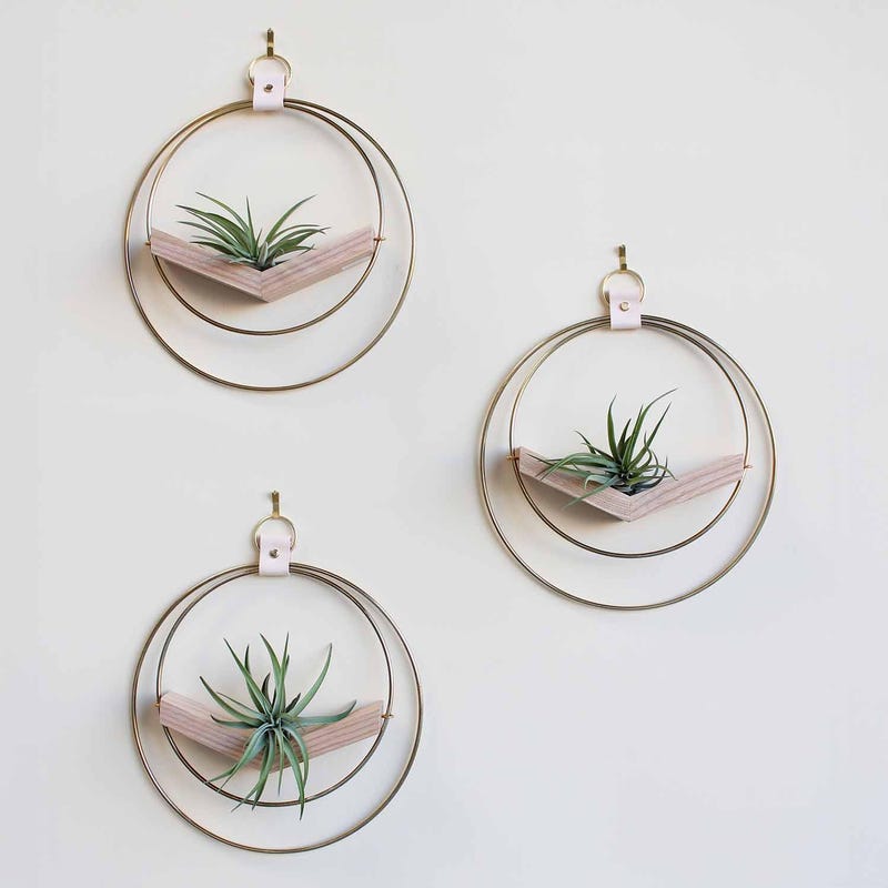 Wall Mount Air Planters - Etsy