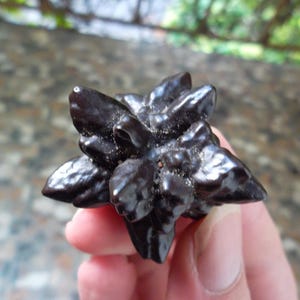 Prophecy Stone From Egypt, Goethite, Healing Crystal, Pseudomorph ...