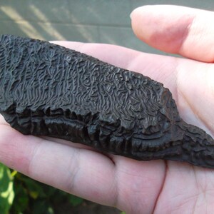 Prophecy Stone From Egypt, Goethite, Healing Crystal, Pseudomorph ...