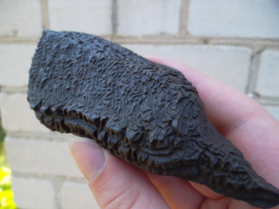 Goethite, Prophecy Stone (115g), Viewing Stone, Goethite Pseudomorph ...