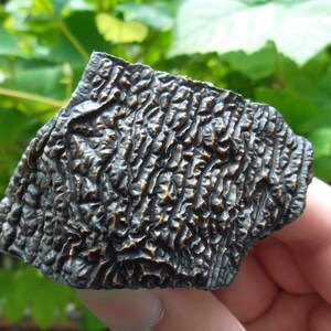 Prophecy Stone From Egypt, Goethite, Healing Crystal, Pseudomorph ...