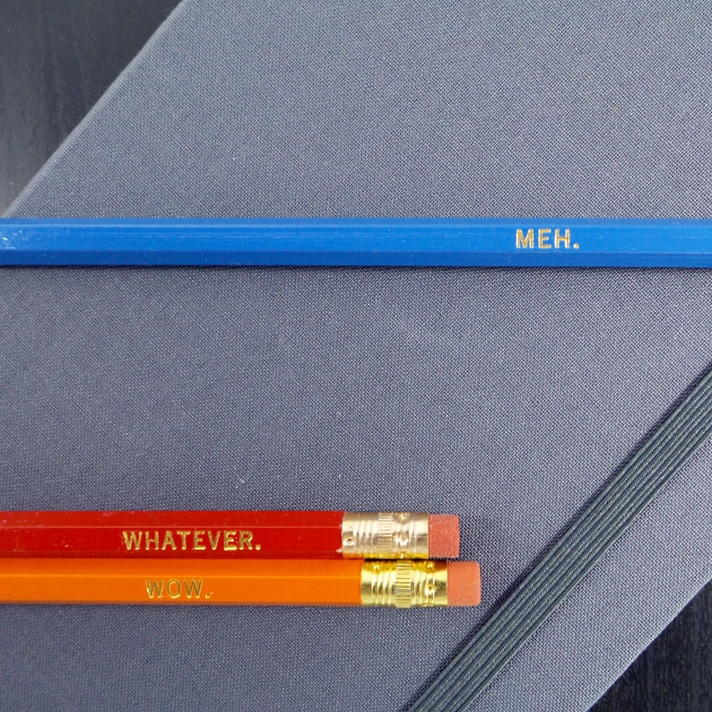 Sarcastic Saying Pencils: Funny Demotivational Gift Set - Etsy