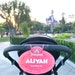 Walt Disney World Inspired Cast Member Name Stroller Sign Tag WDW ...