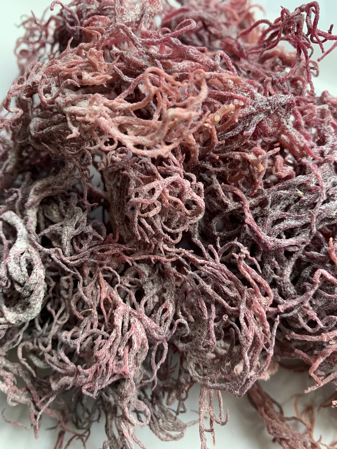 Wild Crafted Purple Sea Moss From St. Lucia, Raw, Natural Superfood 4 ...