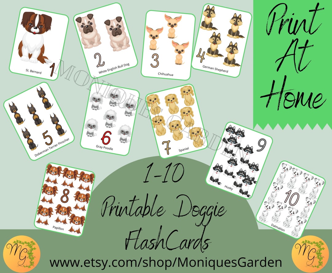 Dog Flash Cards 1-10: Preschool Learning + Coloring Pages (digital ...