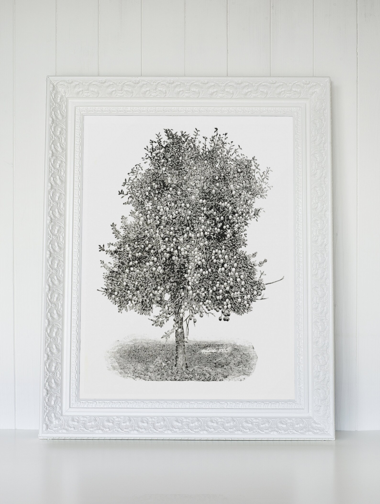 Apple Tree Printable Art Instant Download for Modern - Etsy