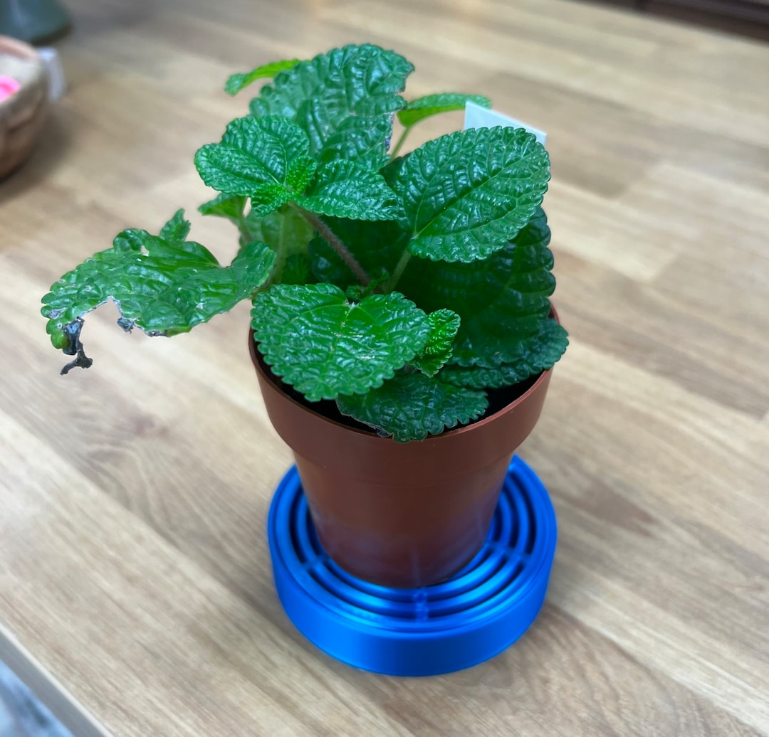 Humidity Tray, Plant Tray, Planter, Drainage Tray - Etsy