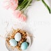 Easter and Spring Stock Photo Bundle / Seasonal Stock Photos / 15 ...