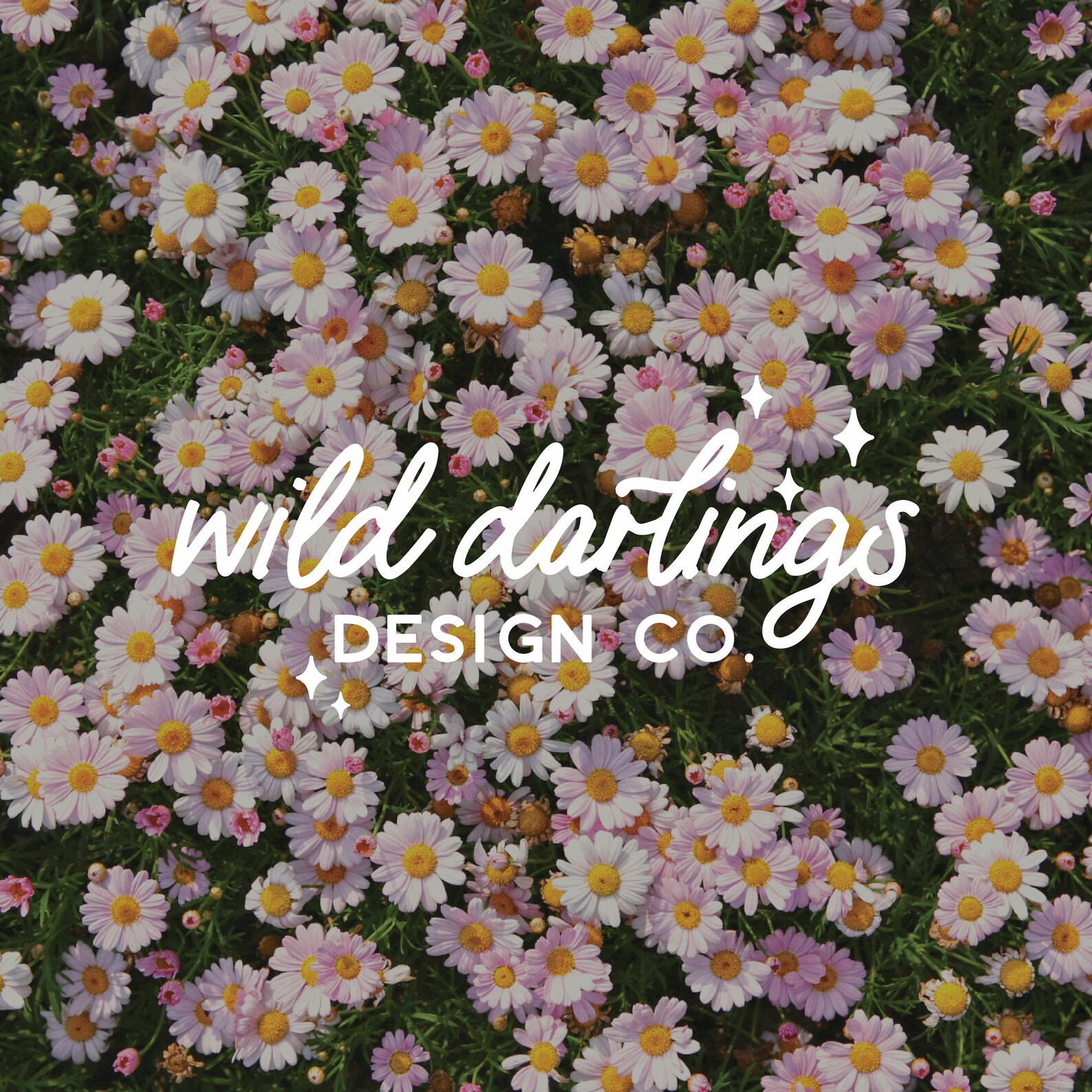 Premade Logo Stars Script Font Watermark Photography Etsy Shop | Etsy