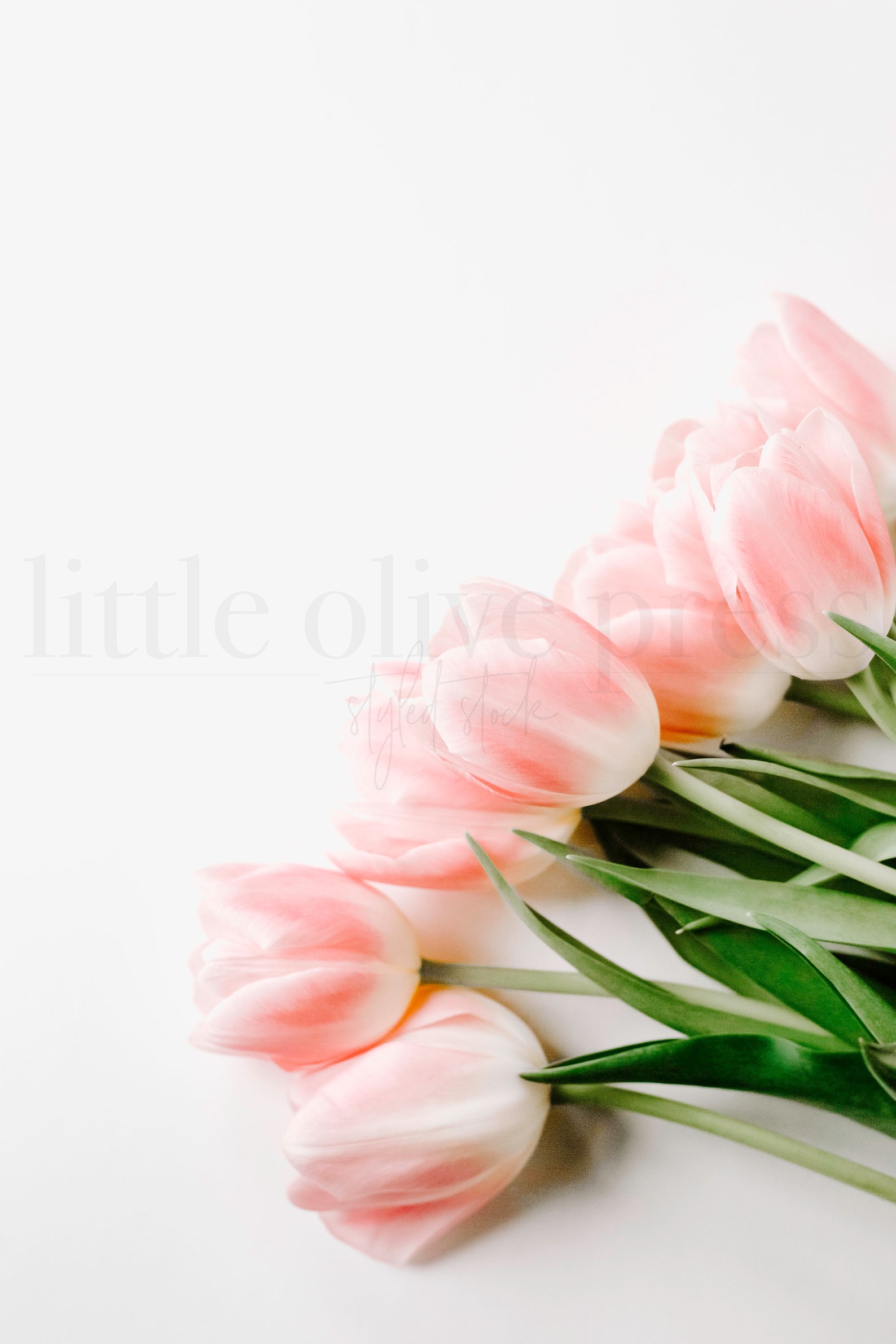 Easter and Spring Stock Photo Bundle / Seasonal Stock Photos / | Etsy