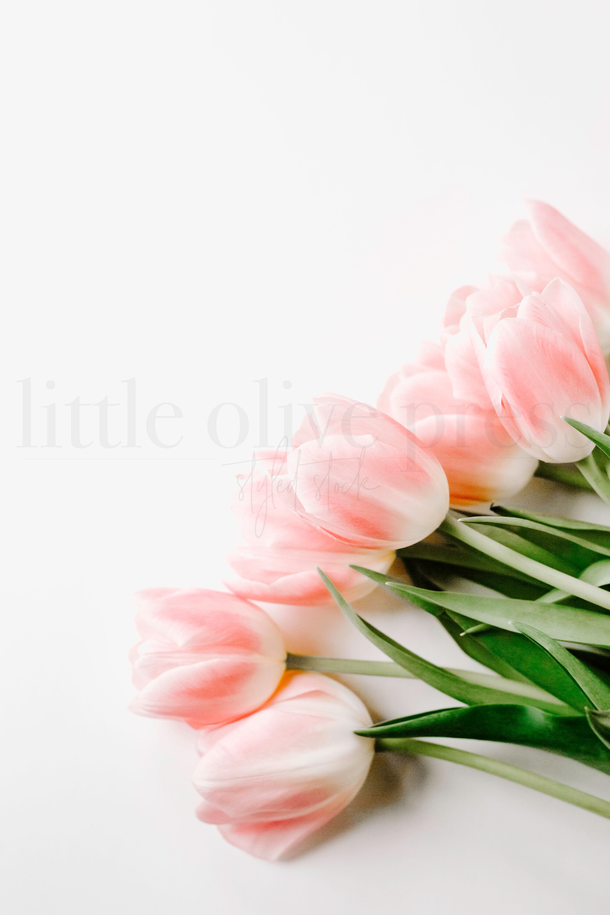 Easter and Spring Stock Photo Bundle / Seasonal Stock Photos / 15 ...