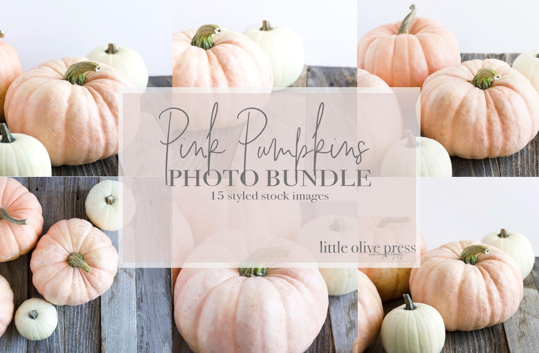 Pink Pumpkins Stock Photo Bundle / Seasonal Stock Photos / 15 ...
