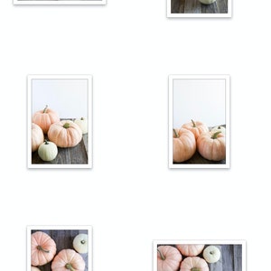 Pink Pumpkins Stock Photo Bundle / Seasonal Stock Photos / 15 ...