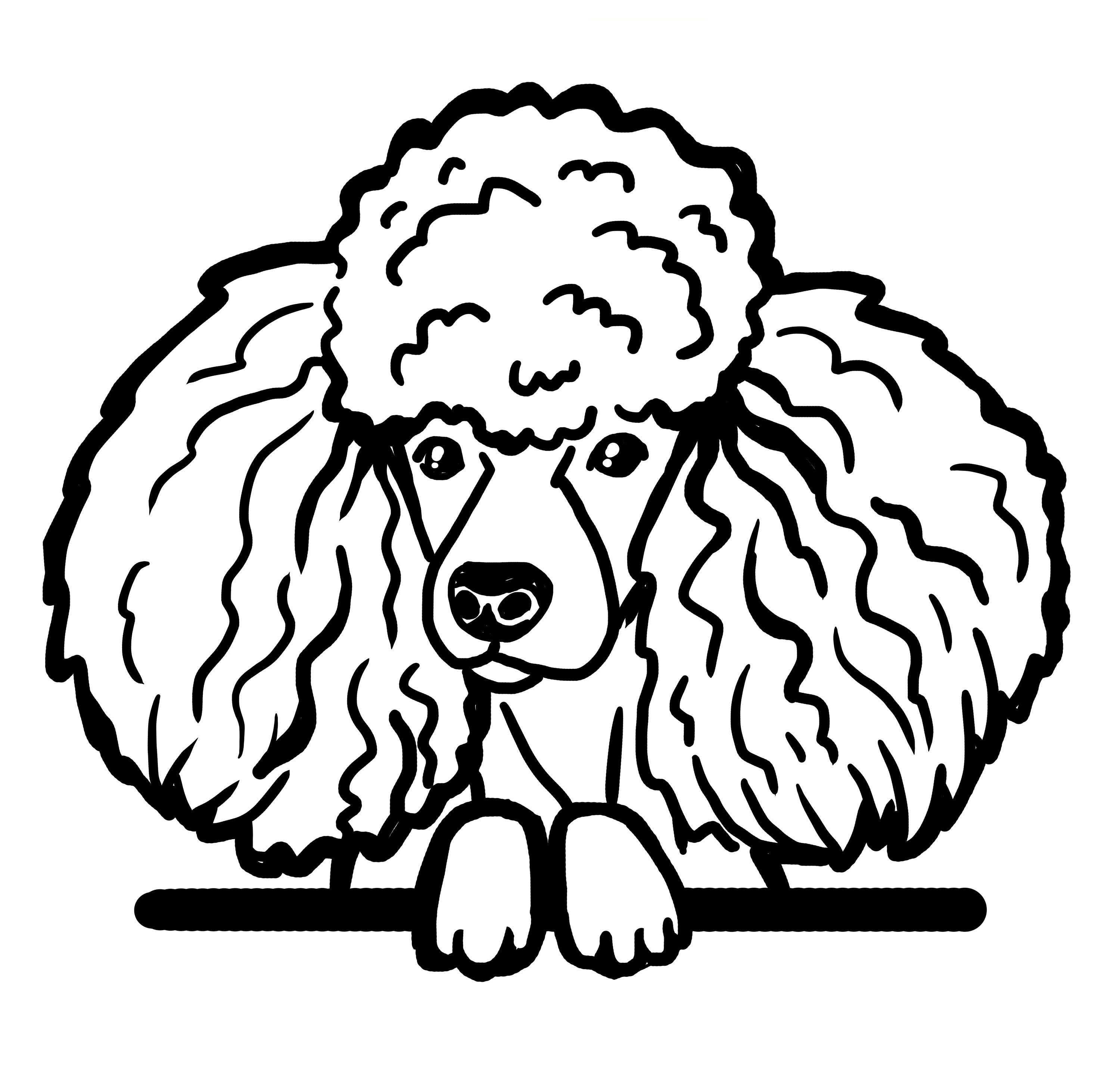 Dog Breeds SVG Bundle 30 Dog Breeds Most Common Dog Breeds SVG Etsy UK dog-breeds-svg-bundle-30-dog-breeds-most-common-dog-breeds-svg-etsy-uk
