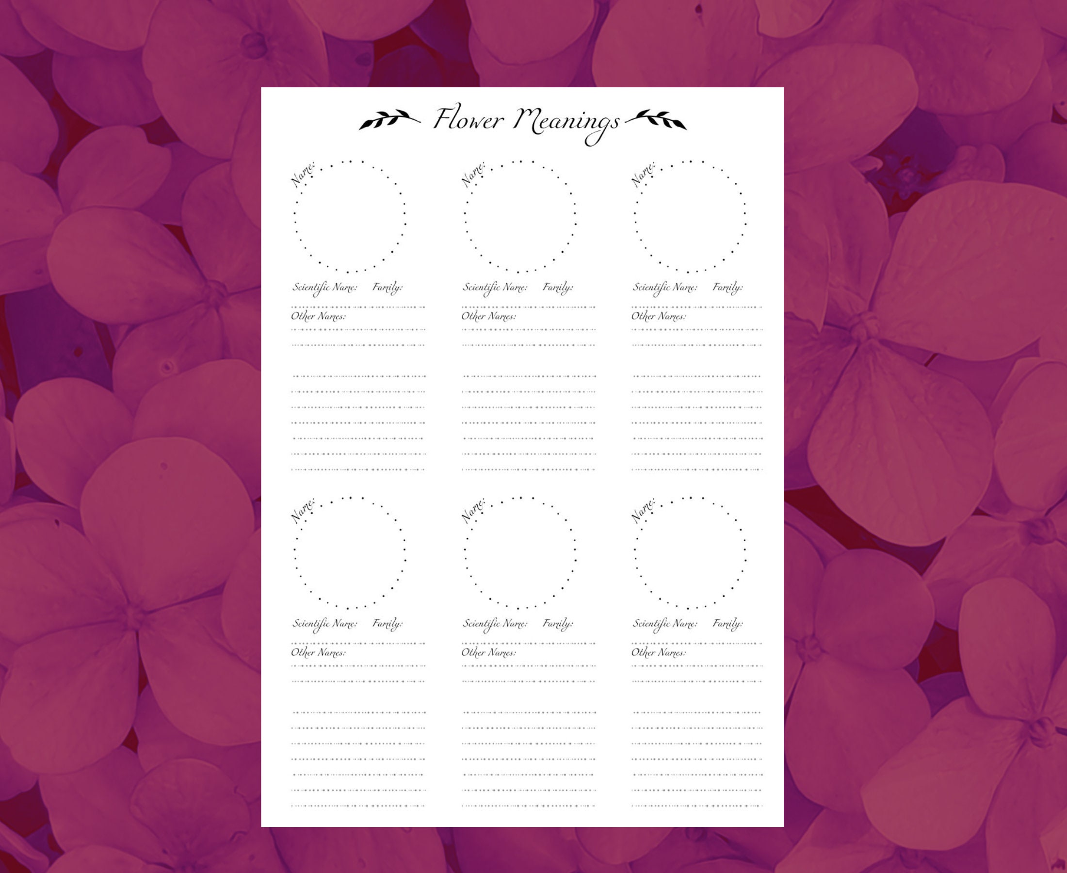 Flower Magick Printable Pages Flower Meanings Book of - Etsy