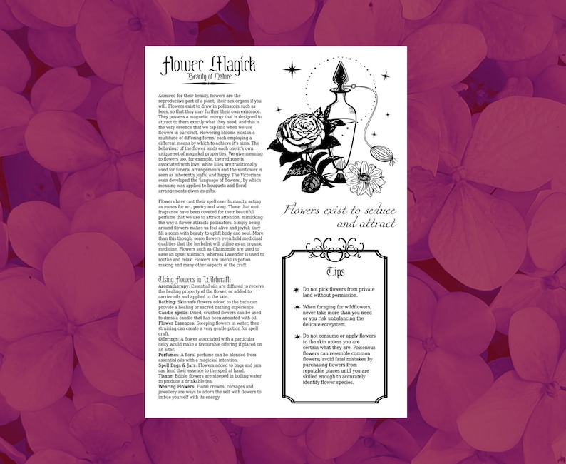 Flower Magick Printable Pages Flower Meanings Book of - Etsy