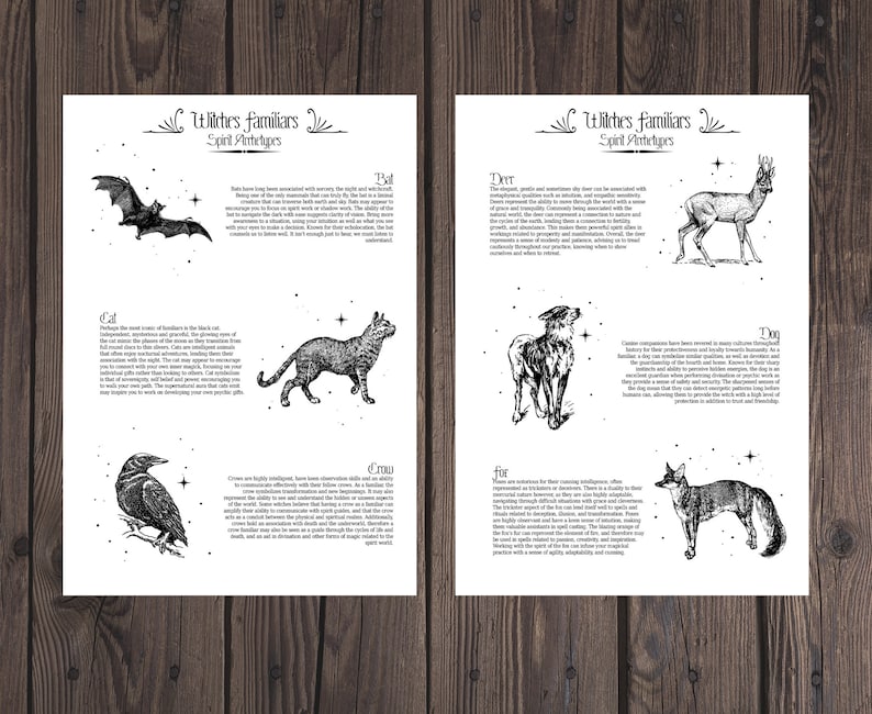Familiars Grimoire Pages: Witchcraft Basics, Spirit Animals (PDF) - Etsy