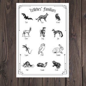 Familiars Grimoire Pages: Witchcraft Basics, Spirit Animals (PDF) - Etsy