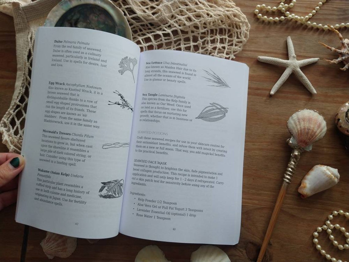Sea Witch Book Ocean Magic Grimoire Spell Book Book of - Etsy