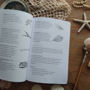 Sea Witch Book - Ocean Magic Grimoire Spell Book - Book of Shadows ...