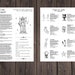 Basics of Witchcraft 101 Printable Grimoire Pages Book of - Etsy Canada