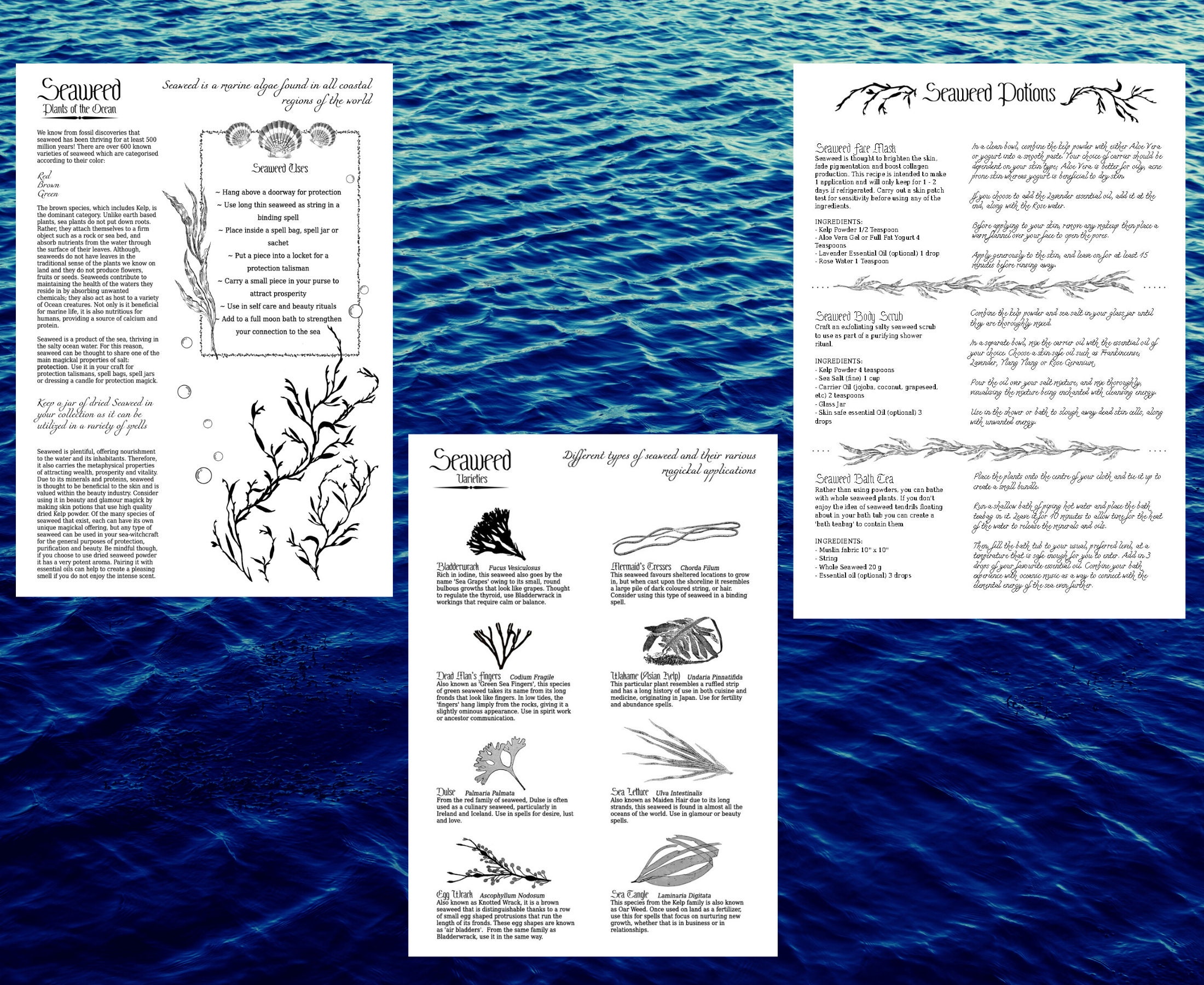 Sea Witch Book of Shadows Pages PART 2 – Printable Grimoire (PDF) - Etsy