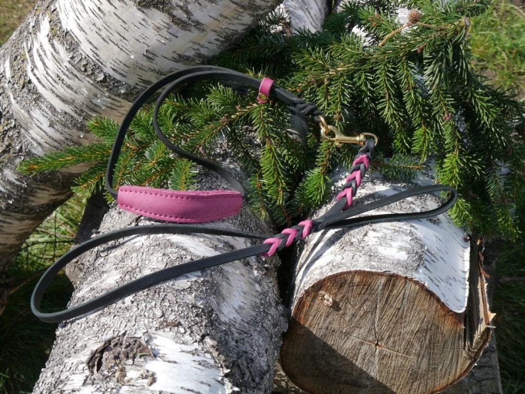 Show Collar Made of Fat Leather With Throat Protection Exhibition Leash ...