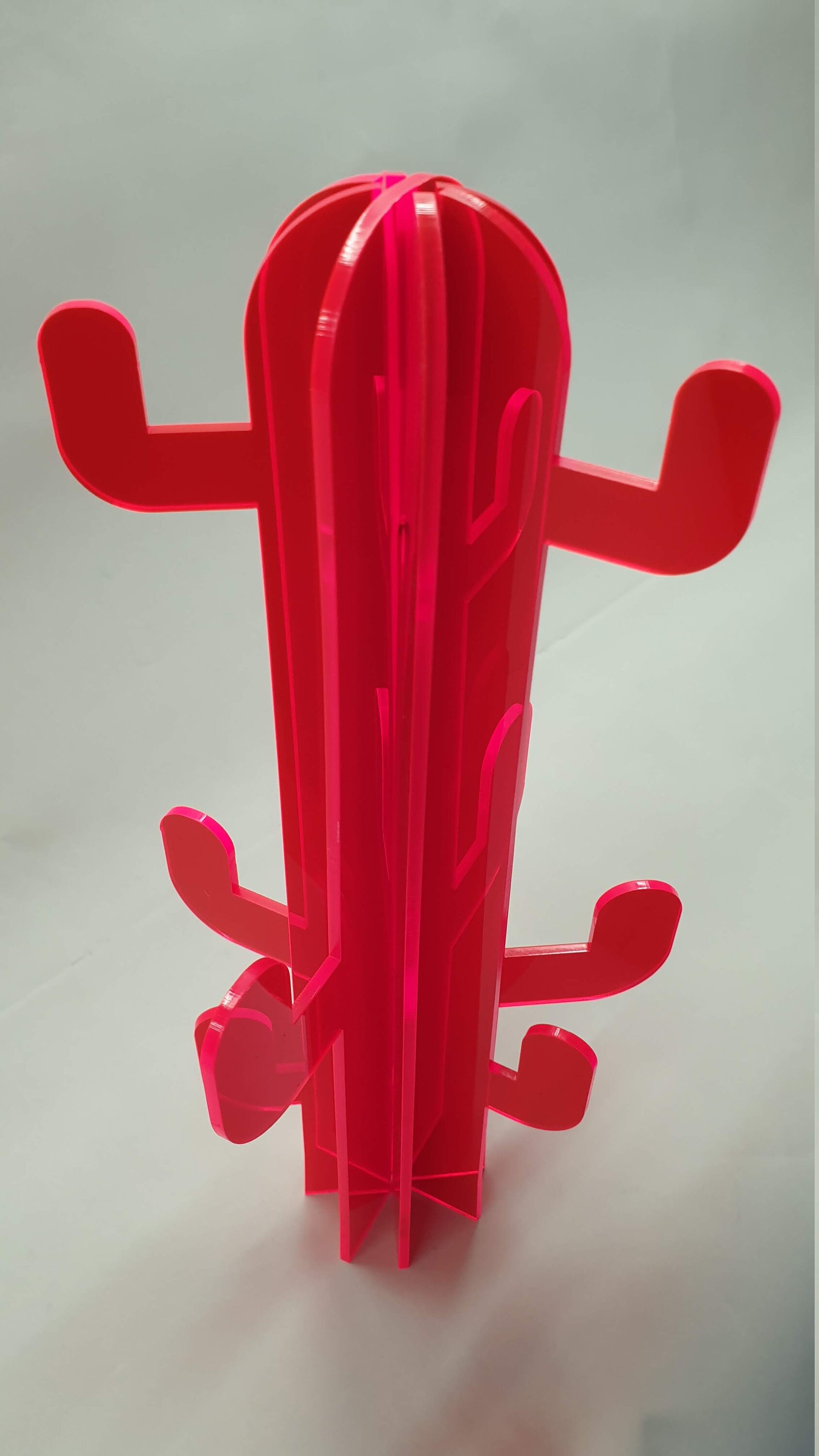 Jewellery / Watch Cactus Large and Small . Laser Cut Mars Red | Etsy