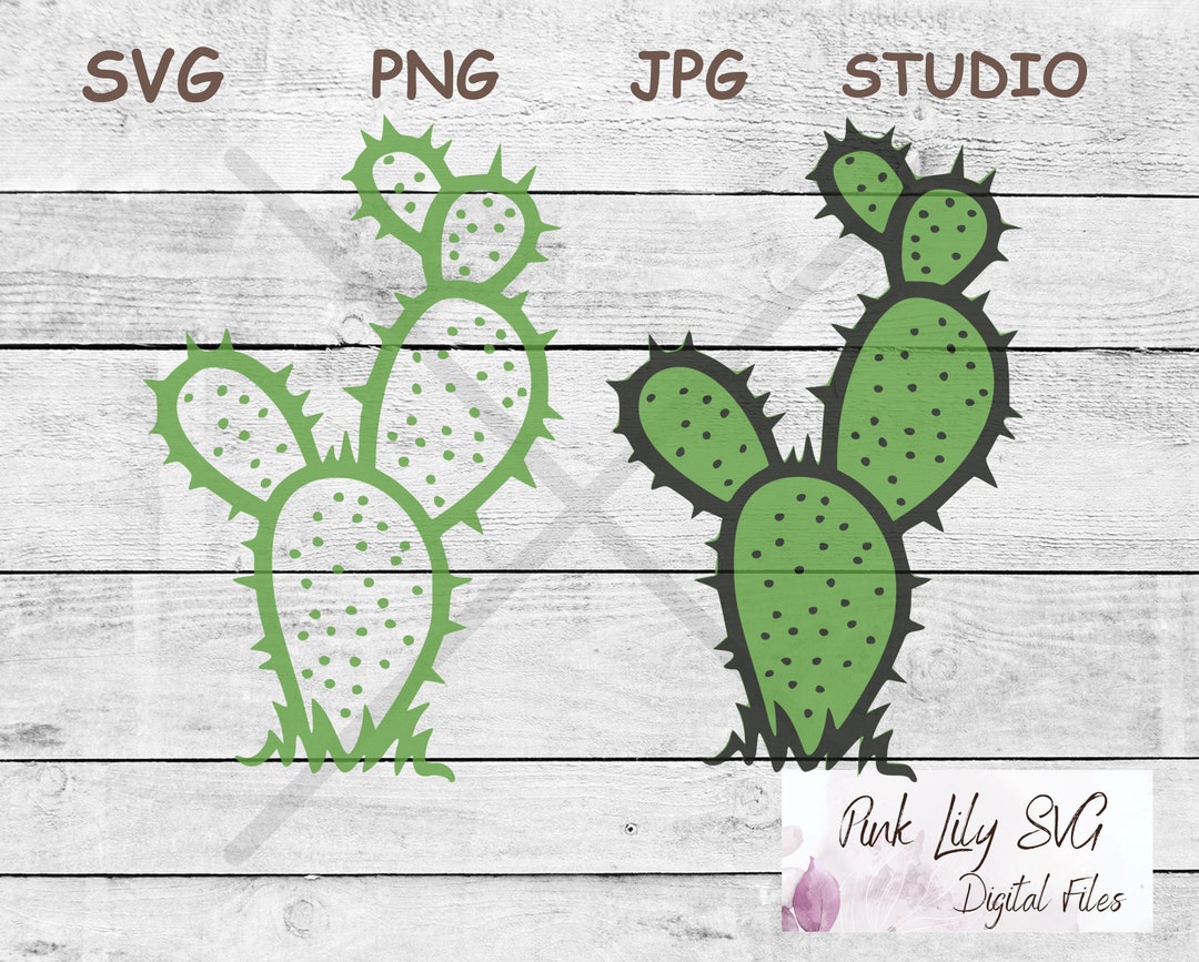 Cactus SVG PNG, Succulent Svg Png, Cactus Decal, Prickly Pear, Plants ...