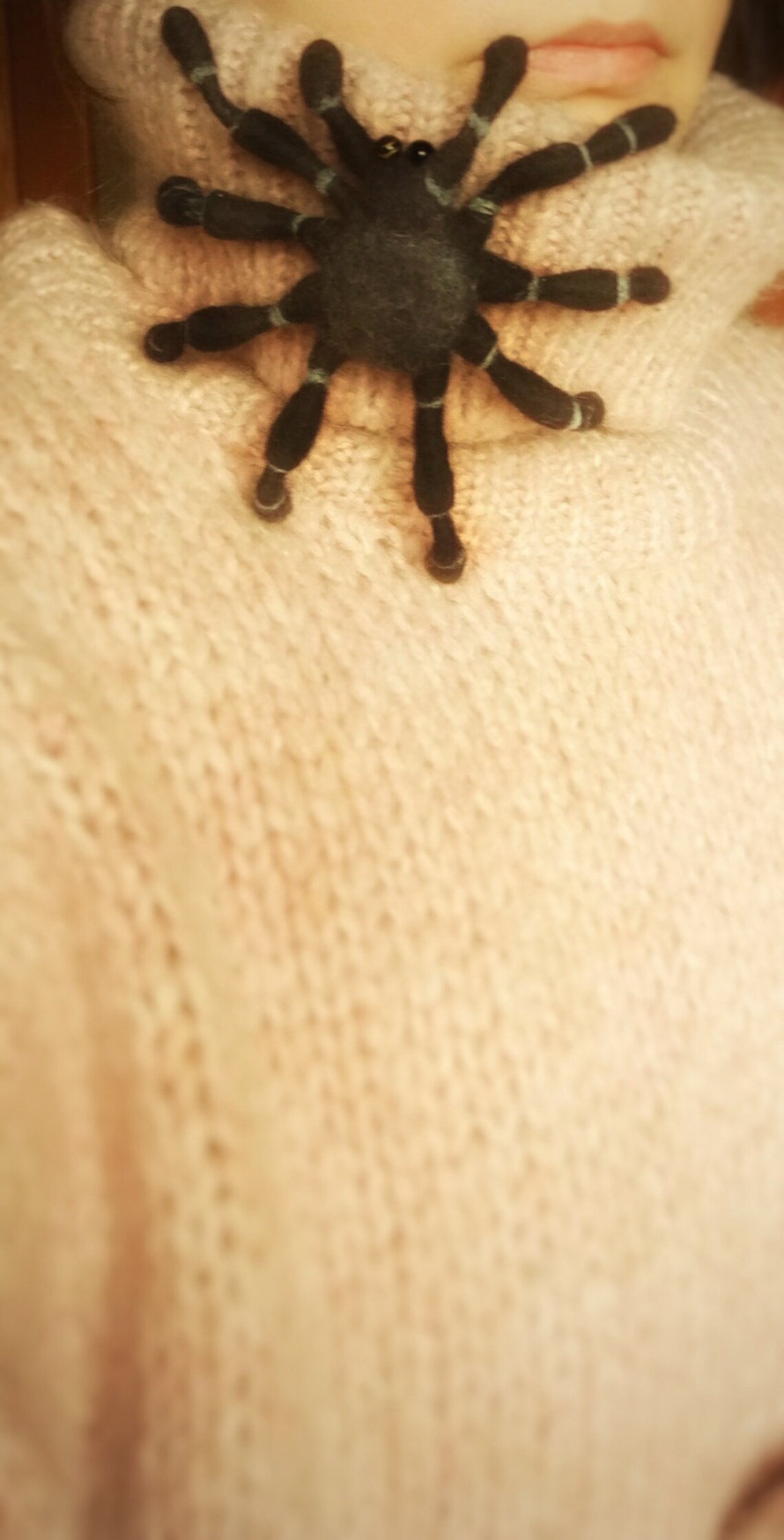 Needle Felted Spider Brooch Black Realistic Spider Pin - Etsy