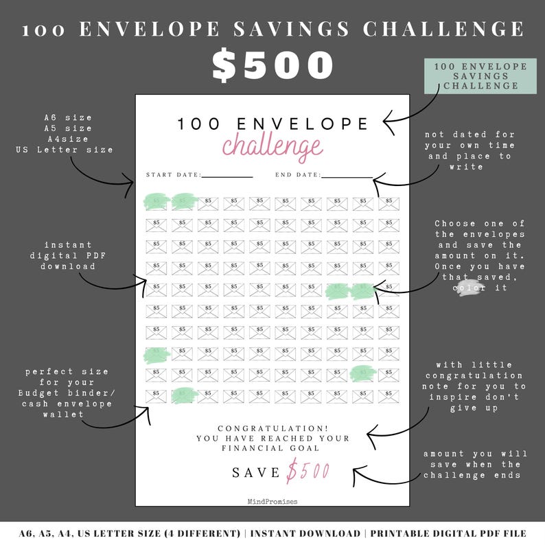 100 Envelope Savings Challenge Printable | Finance Tracker (digital ...
