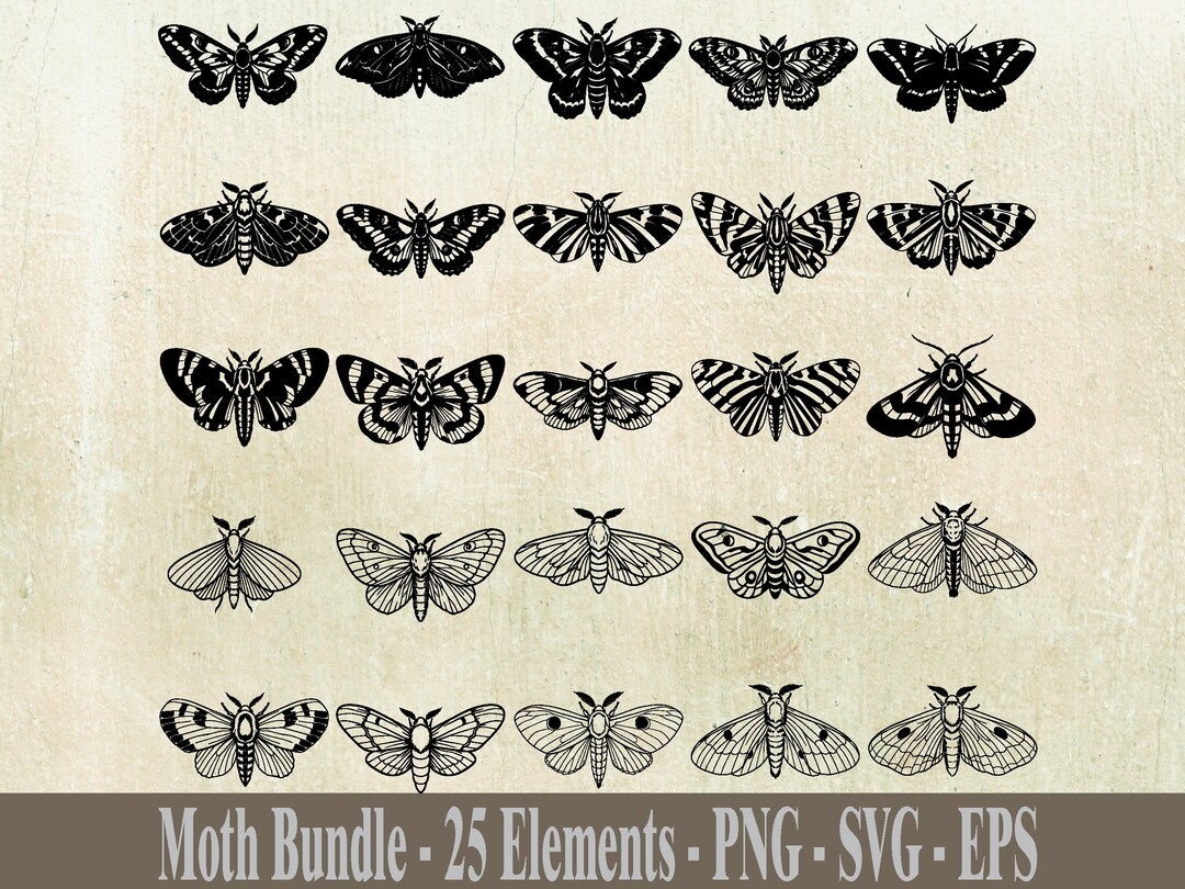 Moth SVG Bundle, Luna Moth SVG, Mystical Moth SVG, Witchcraft Svg, Moth ...