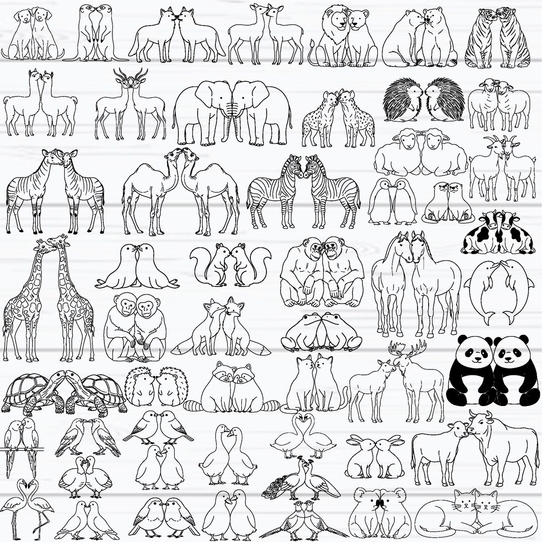 Animals SVG Bundle, Cute Animal Couples Svg, Valentine Animal Svg, Farm ...