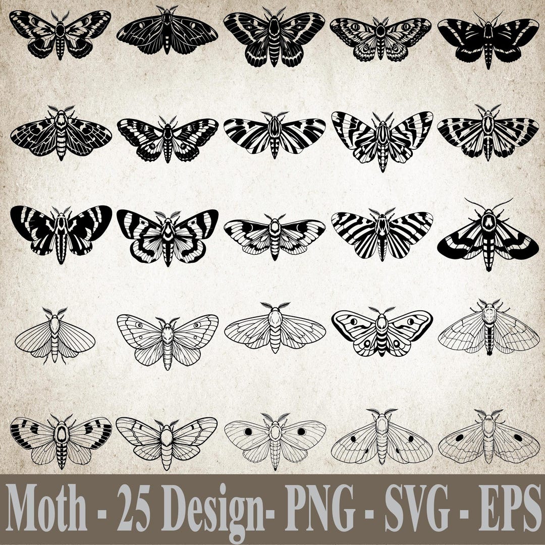 Moth SVG Bundle, Luna Moth SVG, Mystical Moth SVG, Witchcraft Svg, Moth ...