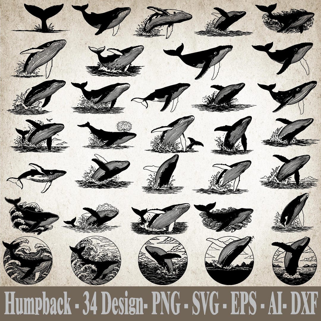 Humpback Whale SVG, Whale SVG, Whale Tail SVG, Whale Laser Cut File ...