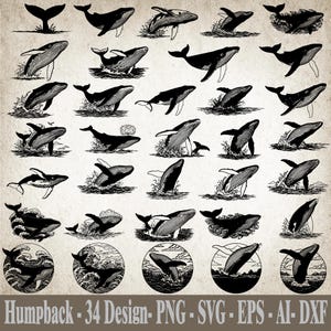 Humpback Whale SVG, Whale SVG, Whale Tail SVG, Whale Laser Cut File ...