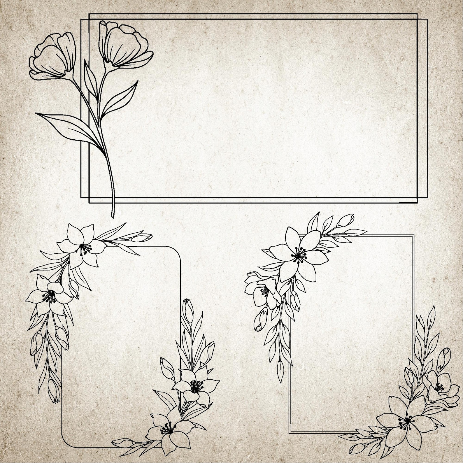 Decorative Frame SVG, Decorative Border Svg, Floral Border Svg, Oval ...