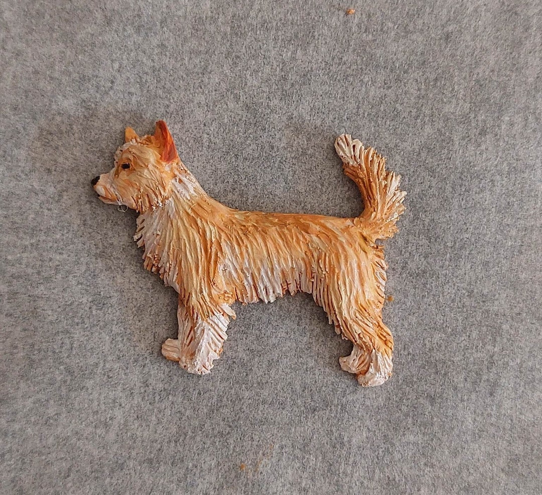 Podengo Pequeno Wire Realistic Brooch/pendant/showclip dog Gift Showdog ...