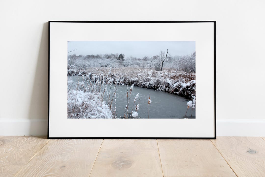 Winter Frozen Pond Brickyard Trail Photo, Snowy Forest Wall Art, Nature ...