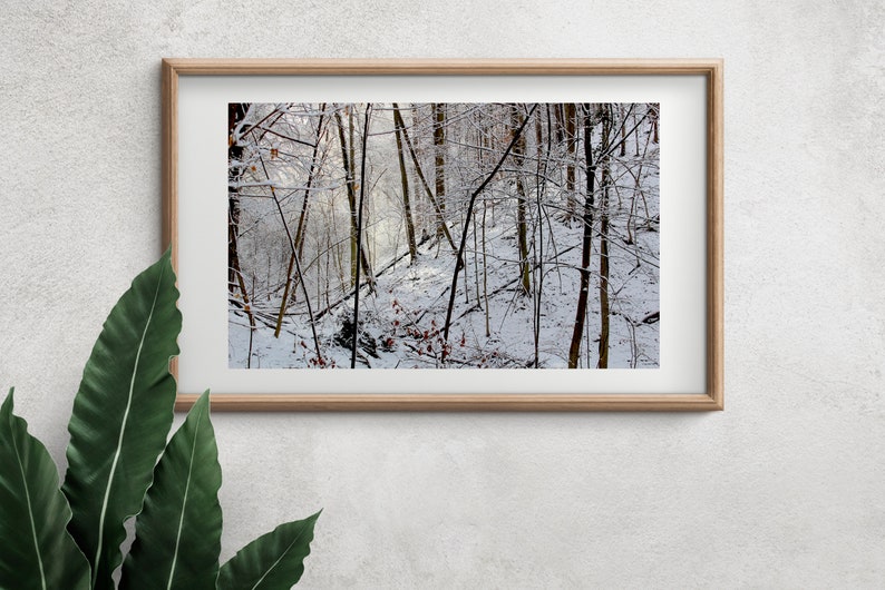 Ellison Park Winter Sun Wall Art, Penfield New York Canvas Print ...