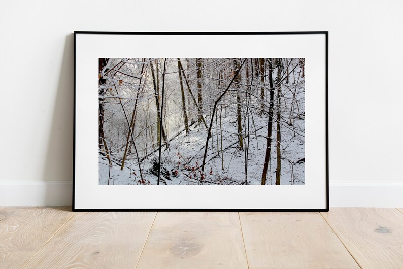 Ellison Park Winter Sun Wall Art, Penfield New York Canvas Print ...