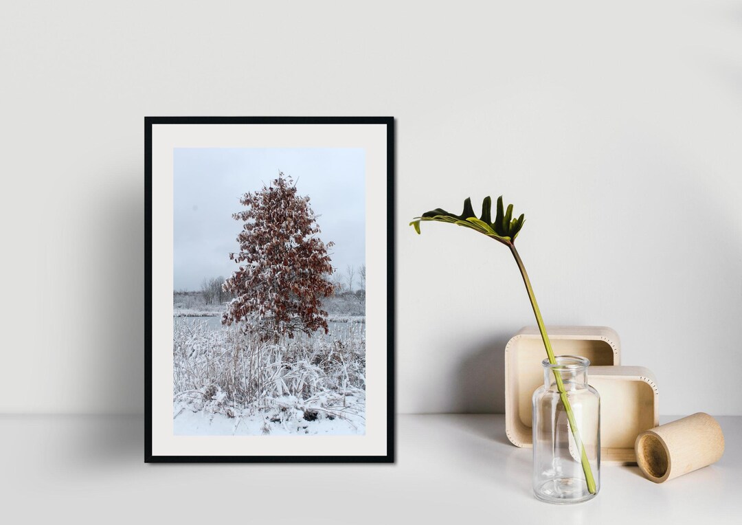 A Unique Snow Photo: Oak Tree by Frozen Pond - Etsy