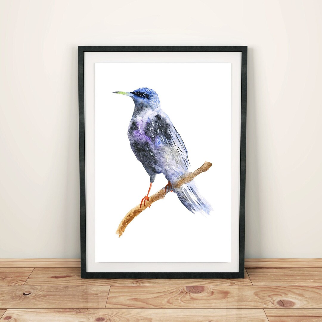 Starling Wall Art Print Digital Download Starling Digital Print ...