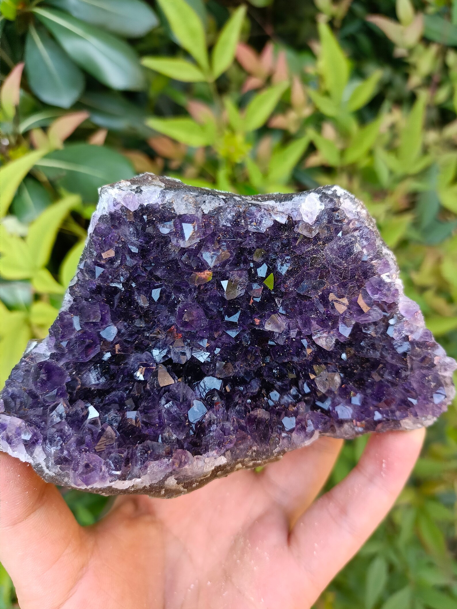 AAA Deep Purple Uruguayan Amethyst Cluster 10oz 250-300gr - Etsy