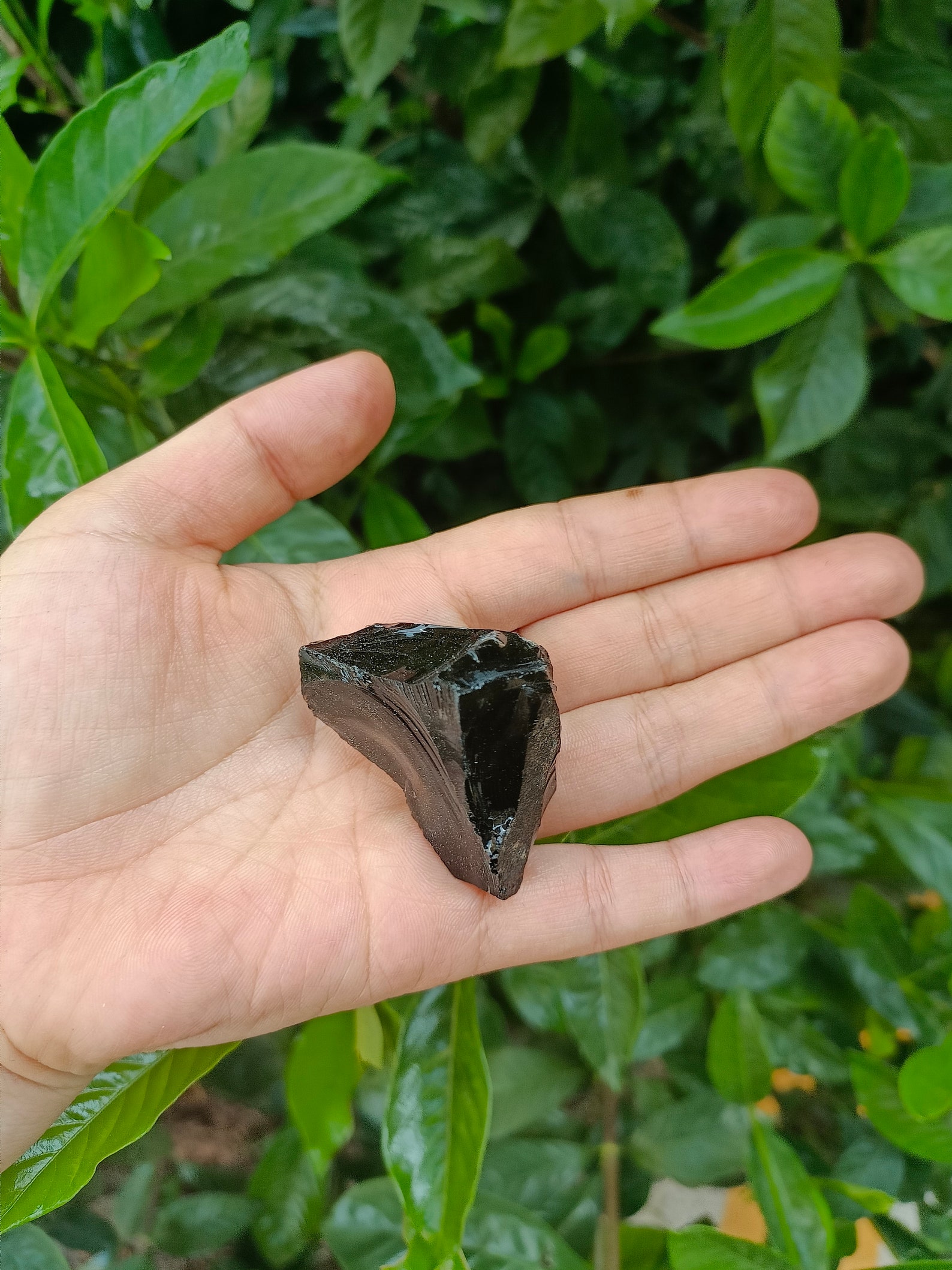 Raw Black Obsidian Chunk 30-50mm - Etsy