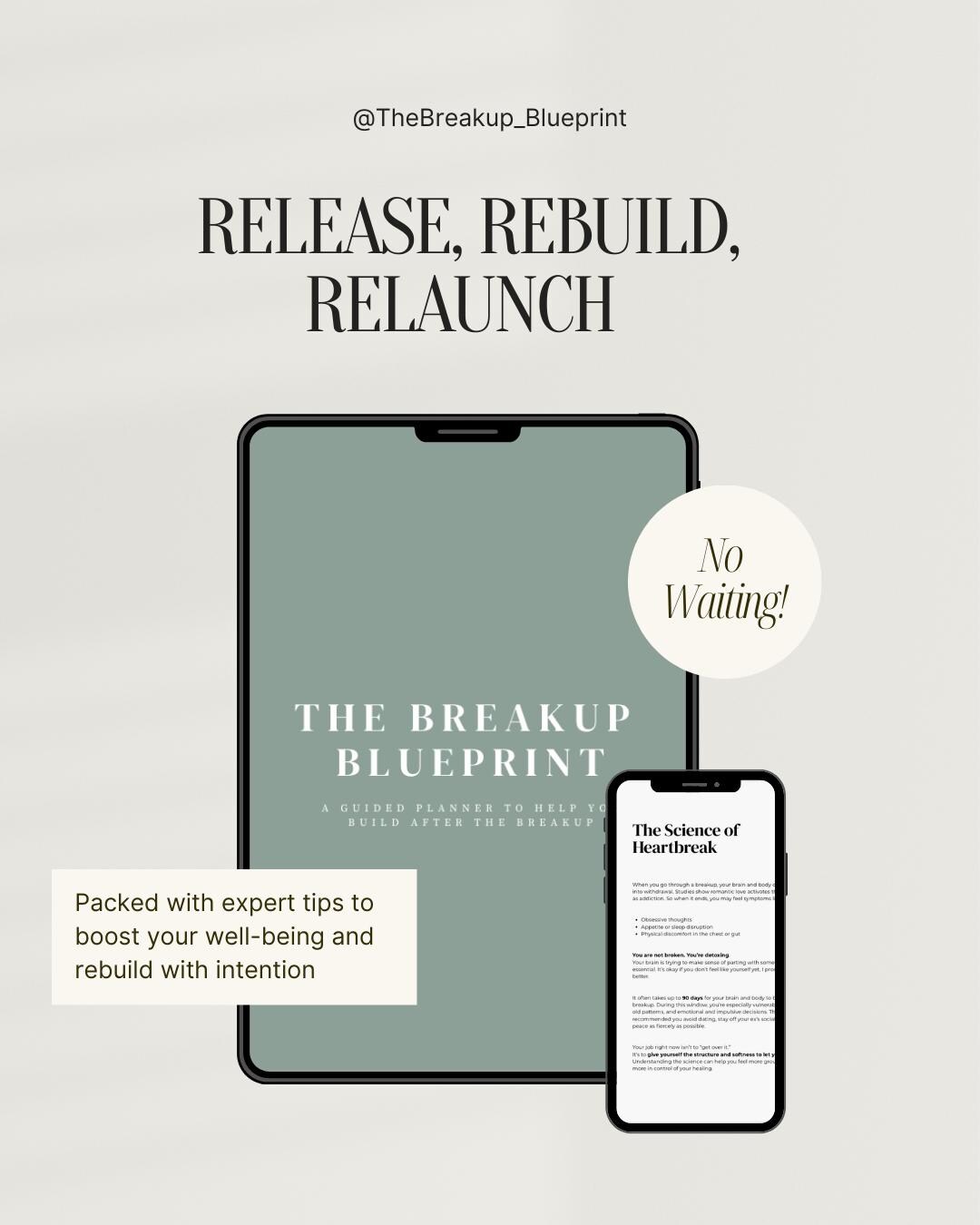 Six Month System to Rebuild After a Breakup or Divorce | the Breakup ...