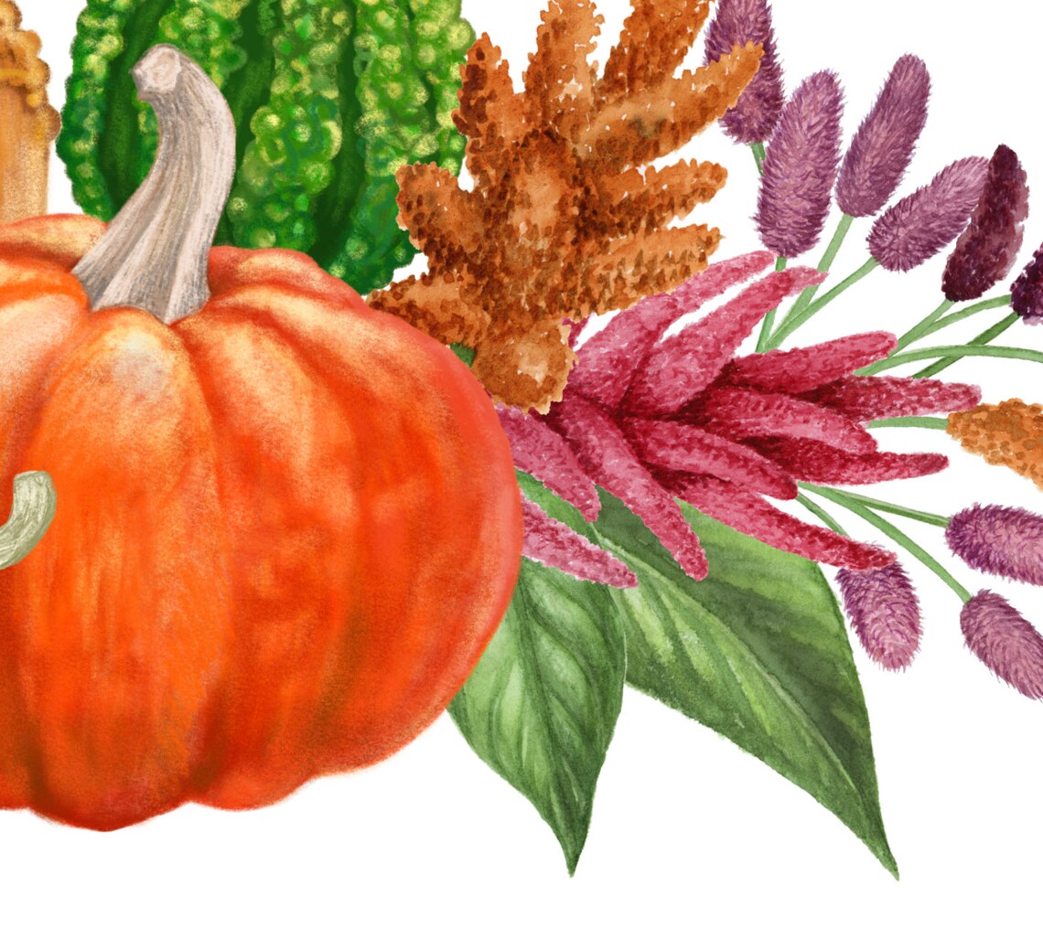 Watercolor Pumpkin Clipart Fall Clipart Thanksgiving Pumpkin - Etsy